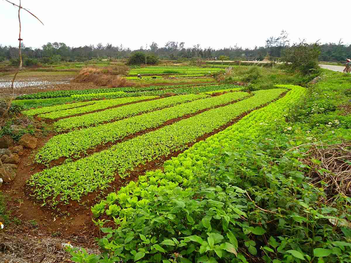 Agric Science Lesson Note For JSS2 Third Term 2023 PDF